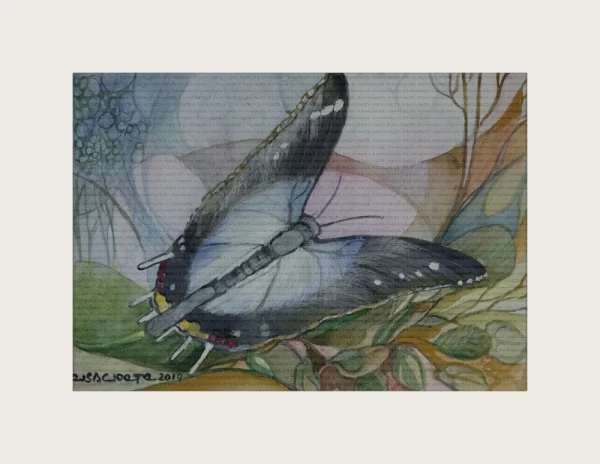 Butterfly II | Elsa Cloete