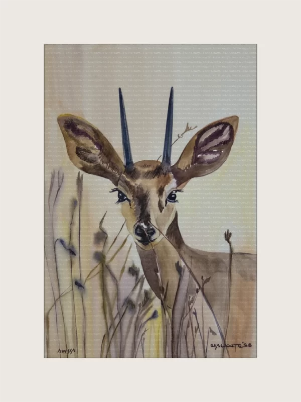 Perfect viewer - Elsa Cloete