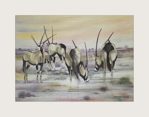 A sip of water - Elsa Cloete